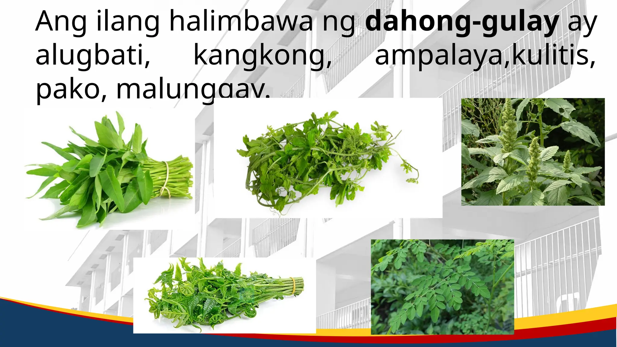 Uri ng mga halaman, Halamang Ornamental. | PPTX