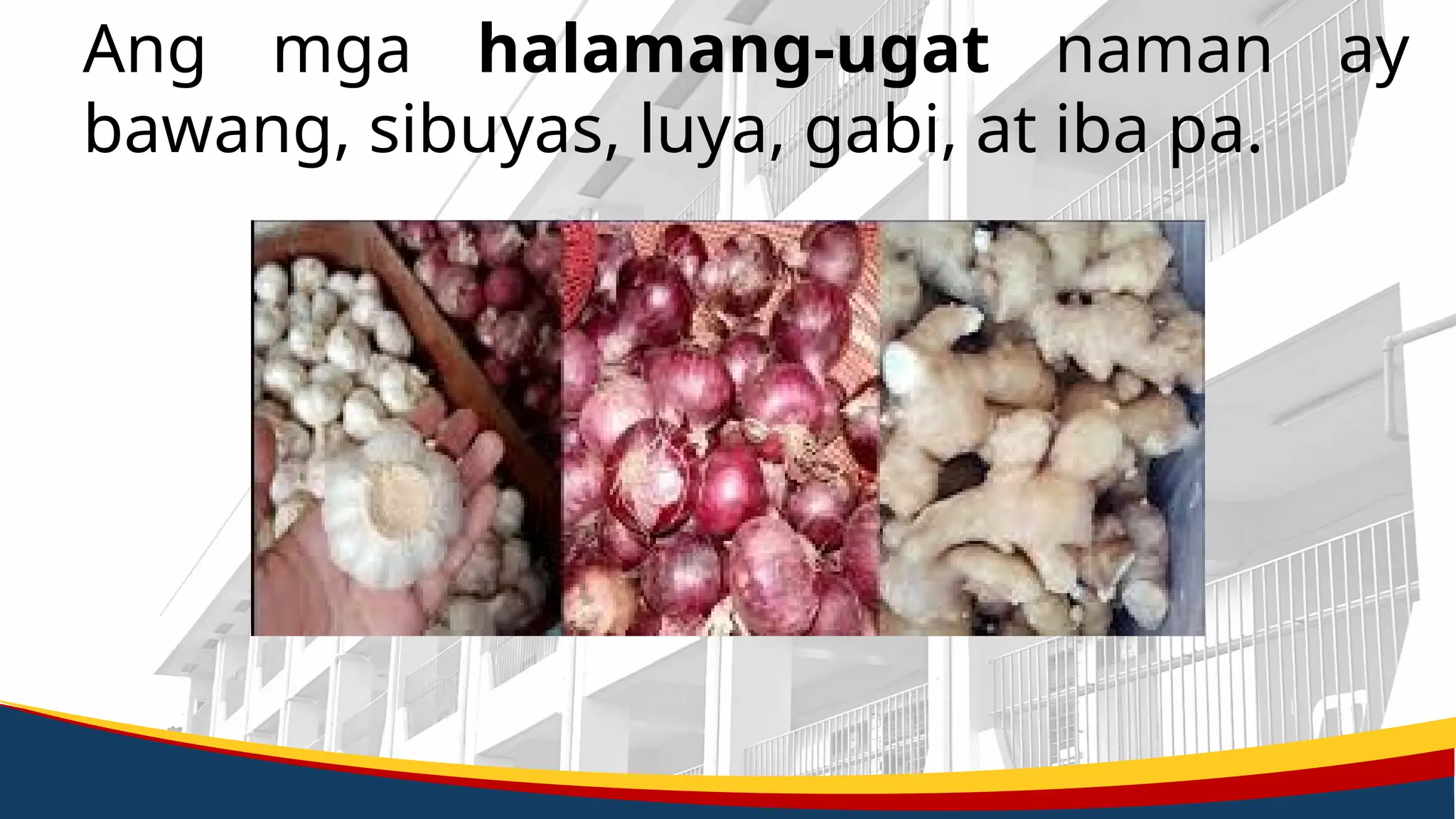 Uri ng mga halaman, Halamang Ornamental. | PPTX