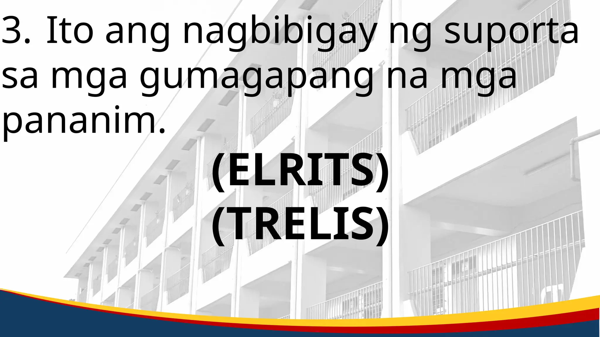 Uri ng mga halaman, Halamang Ornamental. | PPTX