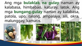 Uri ng mga halaman, Halamang Ornamental. | PPTX