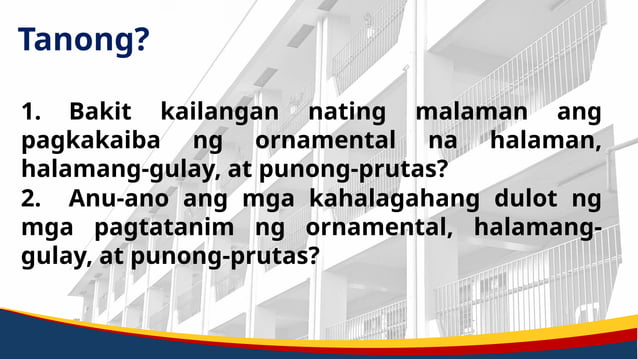 Uri ng mga halaman, Halamang Ornamental. | PPTX