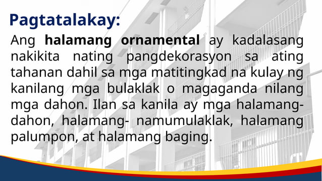 Uri ng mga halaman, Halamang Ornamental. | PPTX