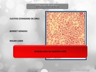 Síndrome Coqueluchoide | PPTX