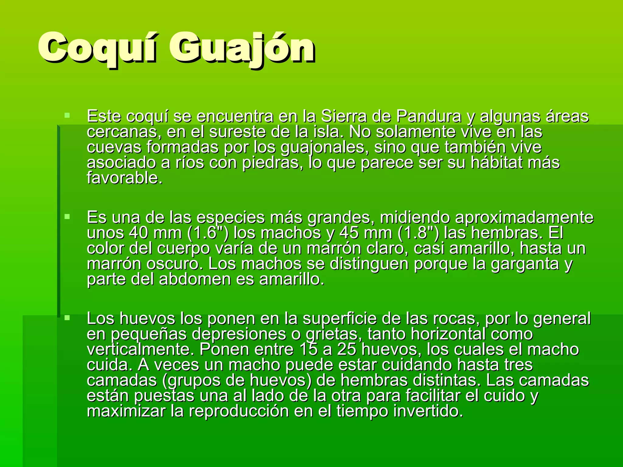 Coquies De Puerto Rico | PPT