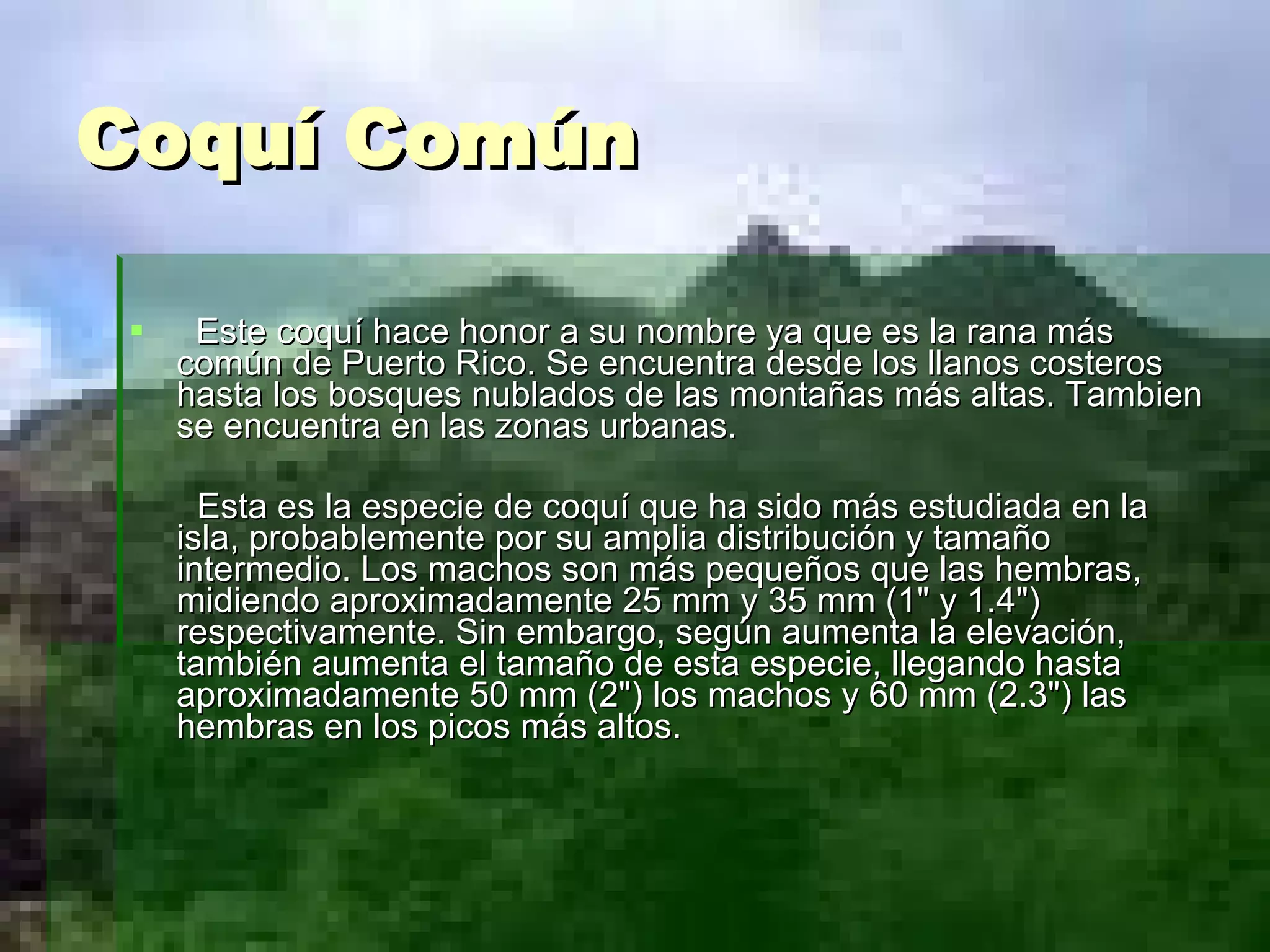 Coquies De Puerto Rico | PPT