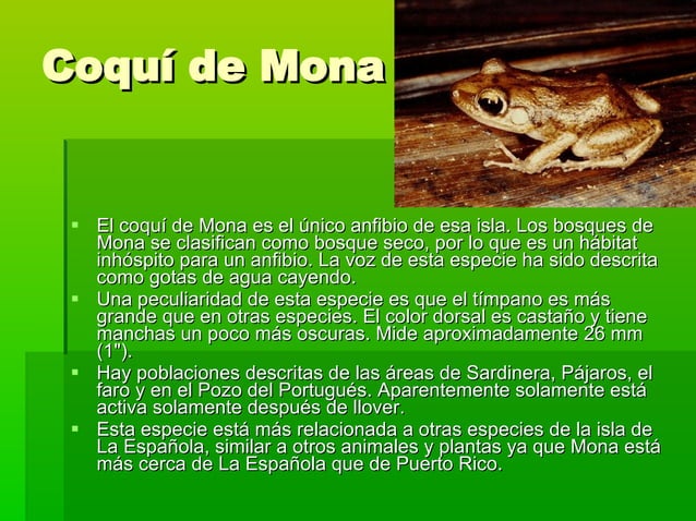 Coquies De Puerto Rico | PPT