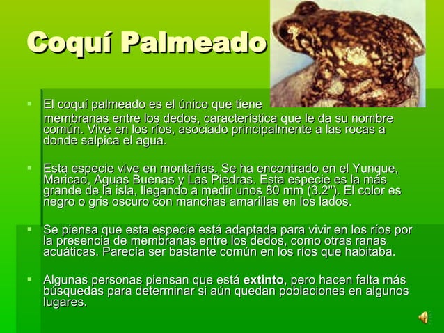 Coquies De Puerto Rico | PPT