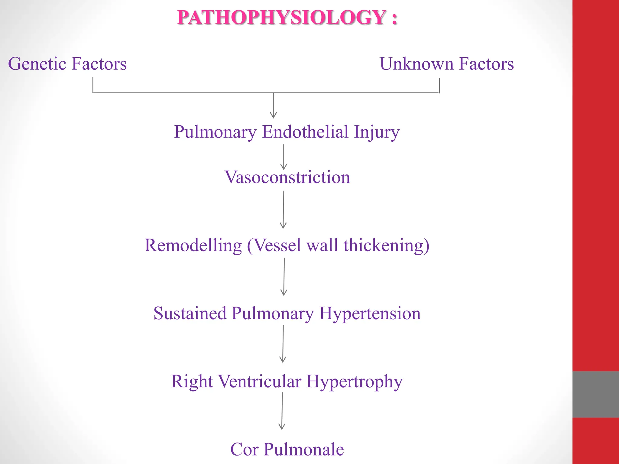Cor - Pulmonale.pptx