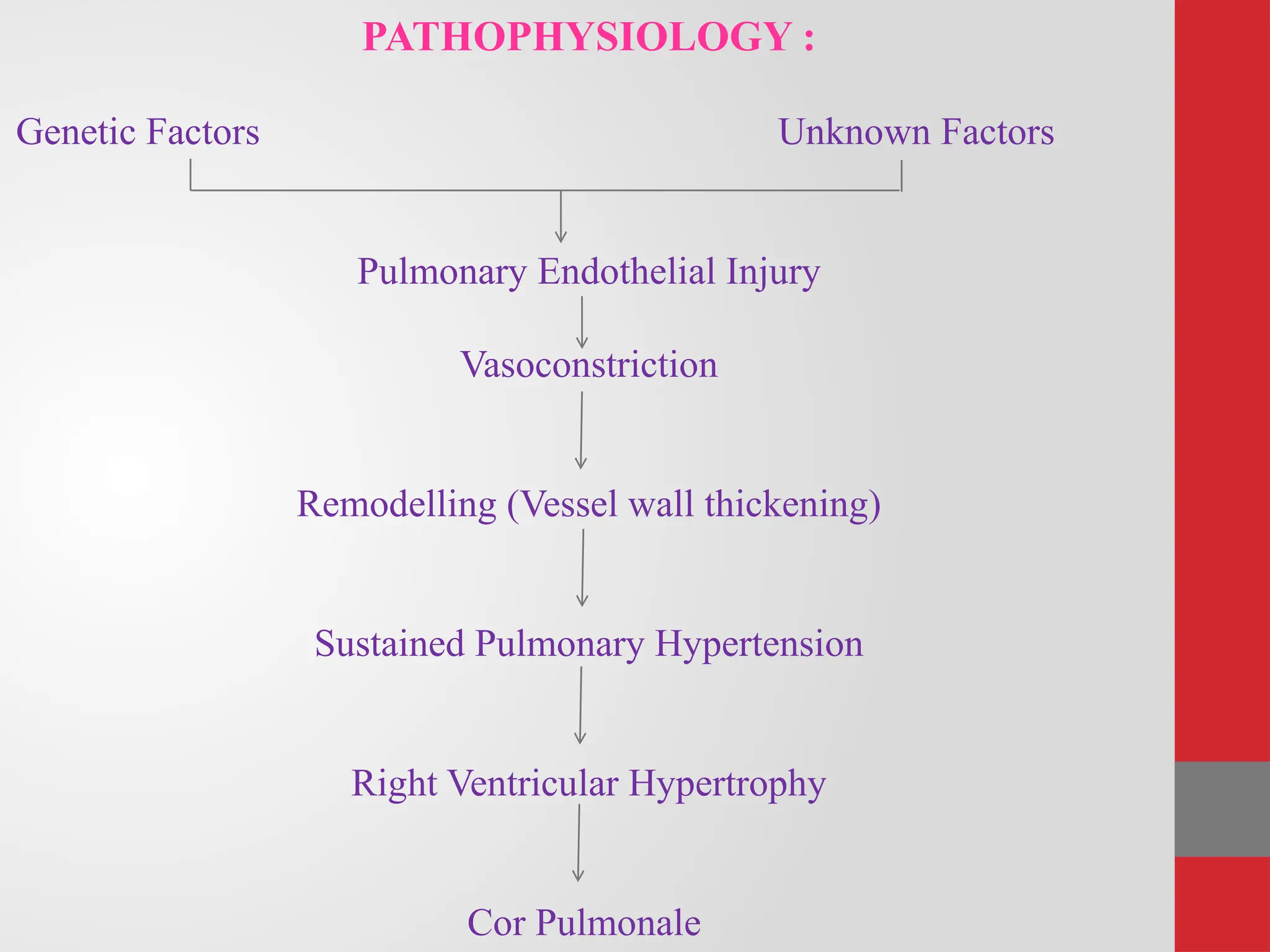 COR-PULMONALE.pptx cardiovascular disorders | PPTX