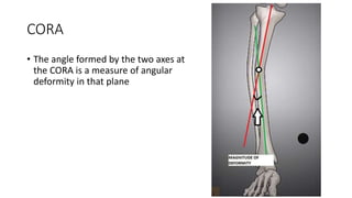 Cora | PPTX