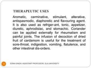 Corainder | PPTX | Gardening | Home & Garden