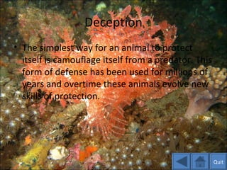 Coral reef | PPT