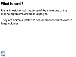 IGCSE Geography: Marine Processes: Coral Reefs | PDF