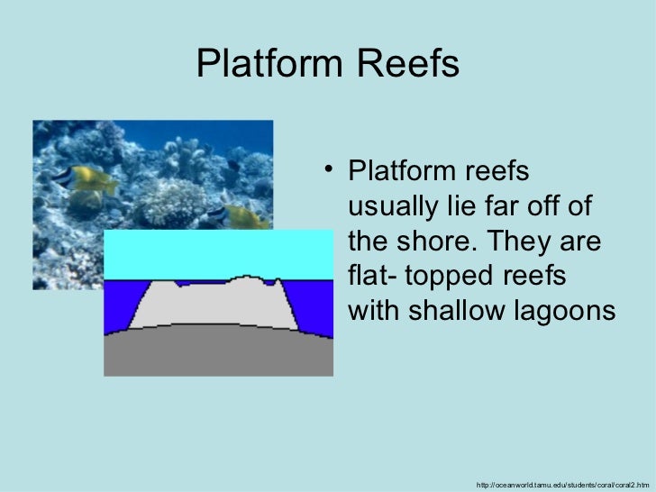 Coral Reefs