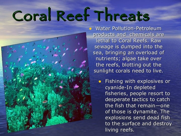 Coral Reefs