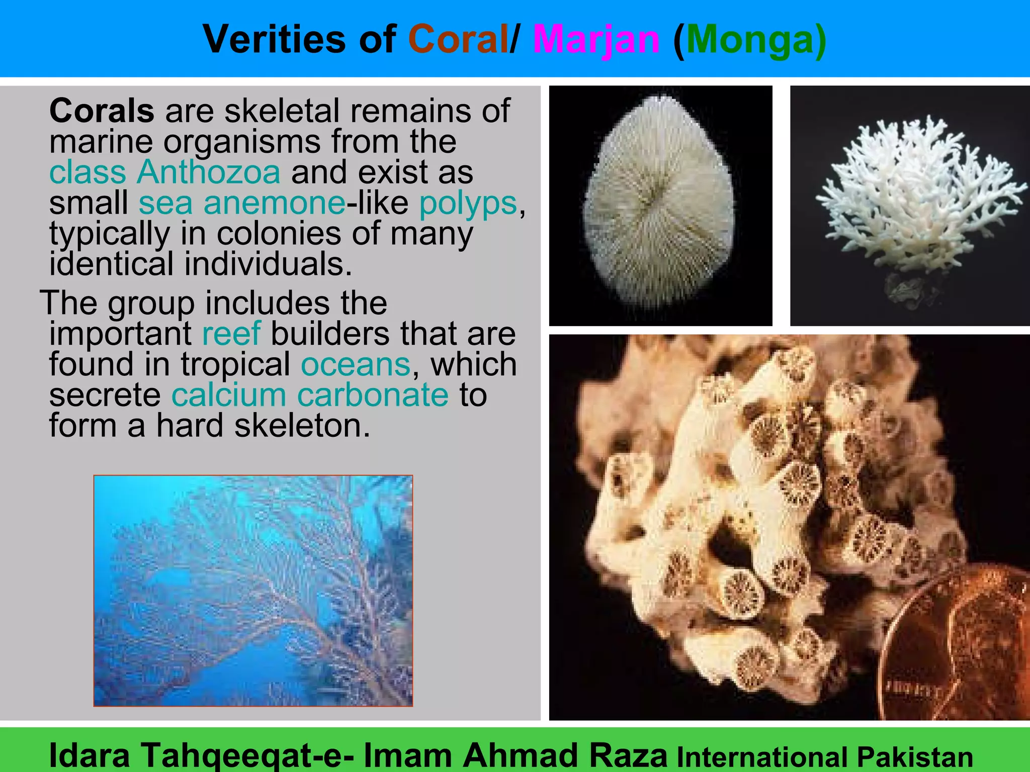 Coral and research of imam ahmad raza | PPT | Islam | Religion ...