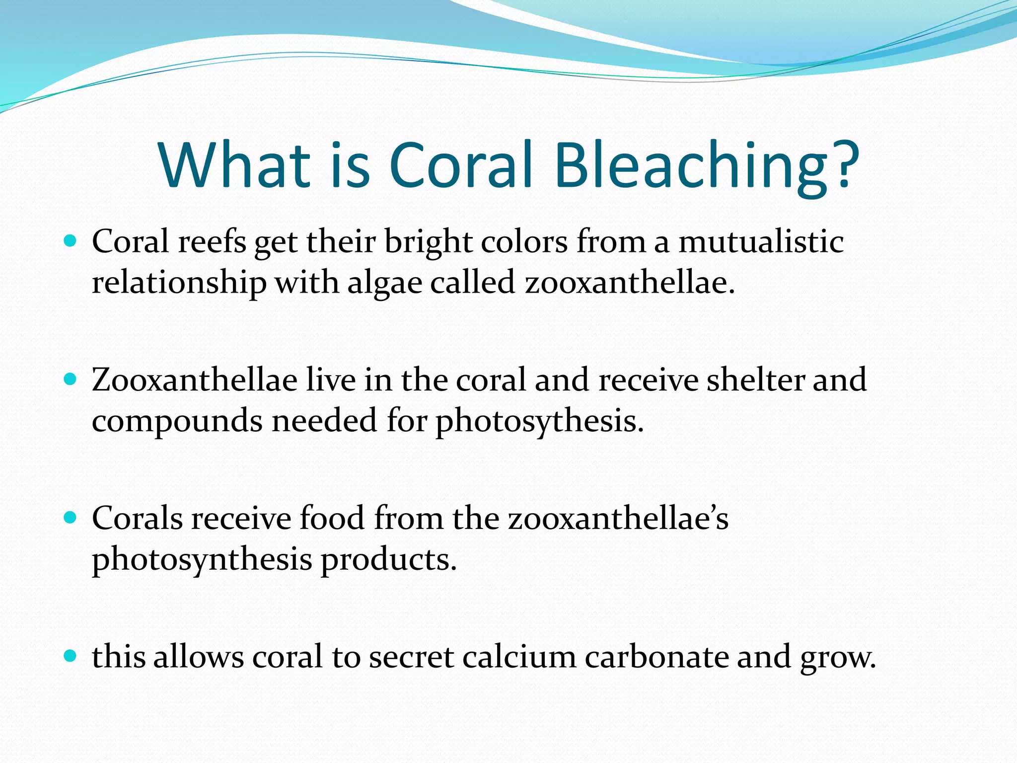 Coral bleaching In ocean | PPT