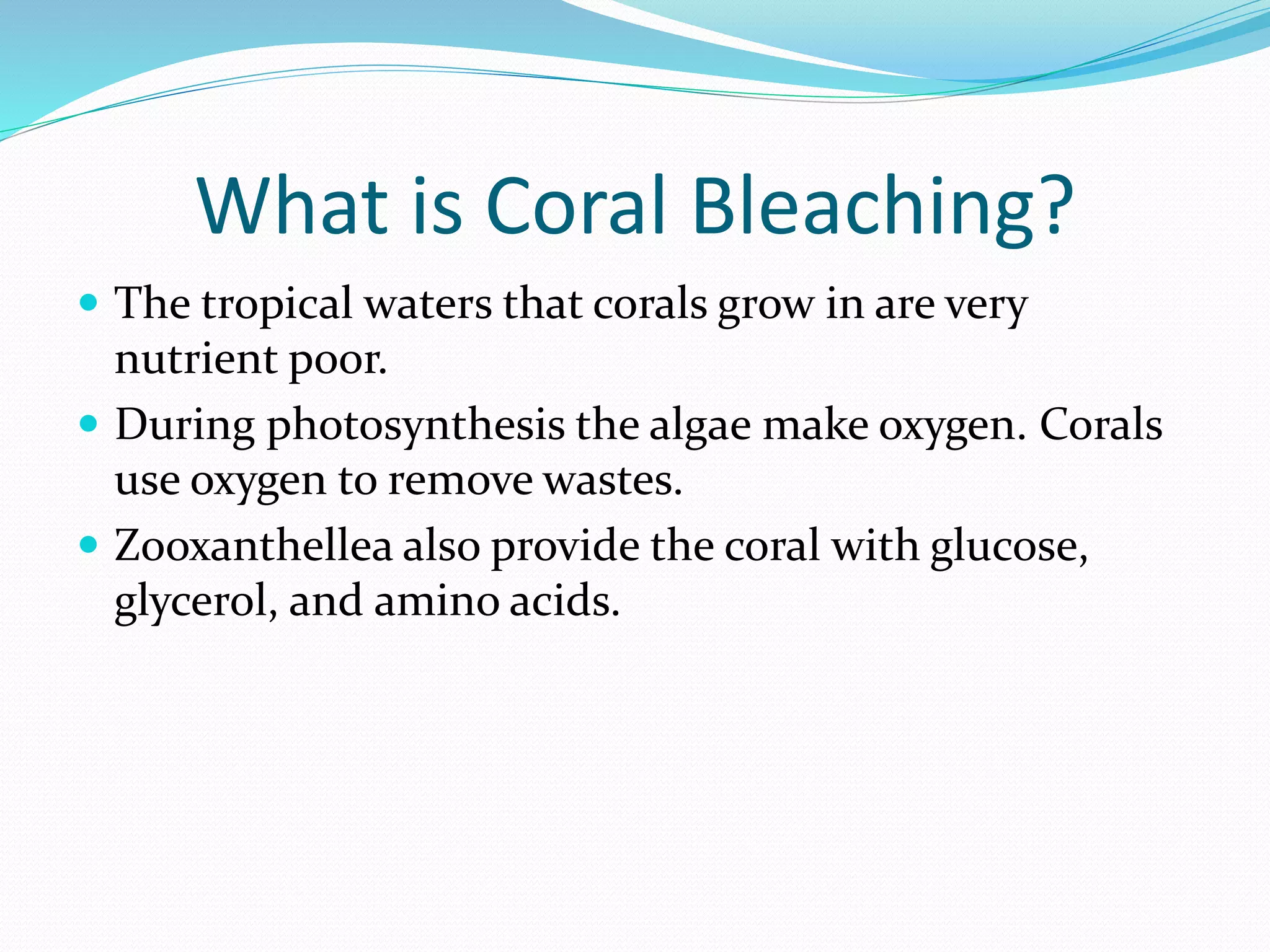 Coral bleaching In ocean | PPT