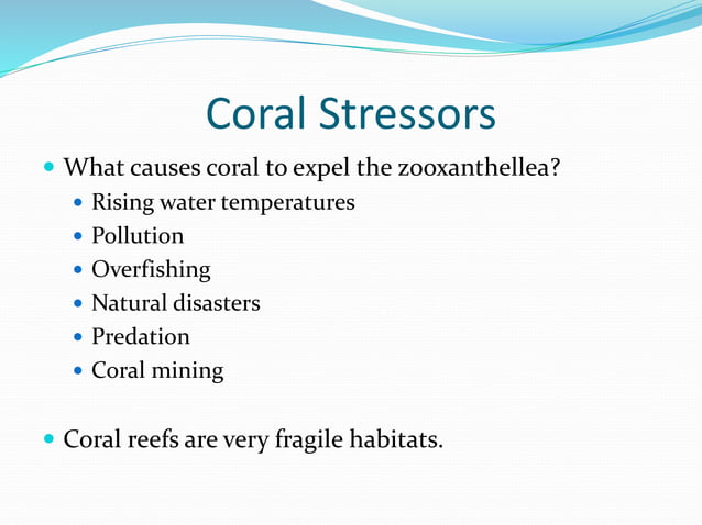 Coral Bleaching In Ocean Ppt
