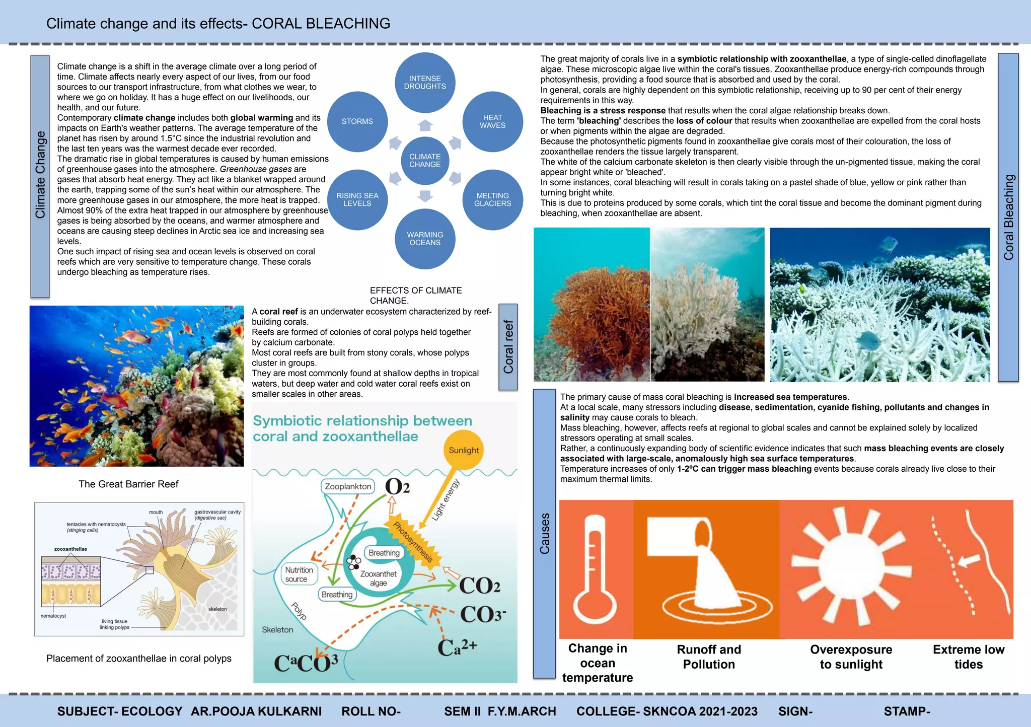 Coral Bleaching.pptx