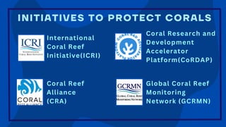 Coral Bleaching.pdf