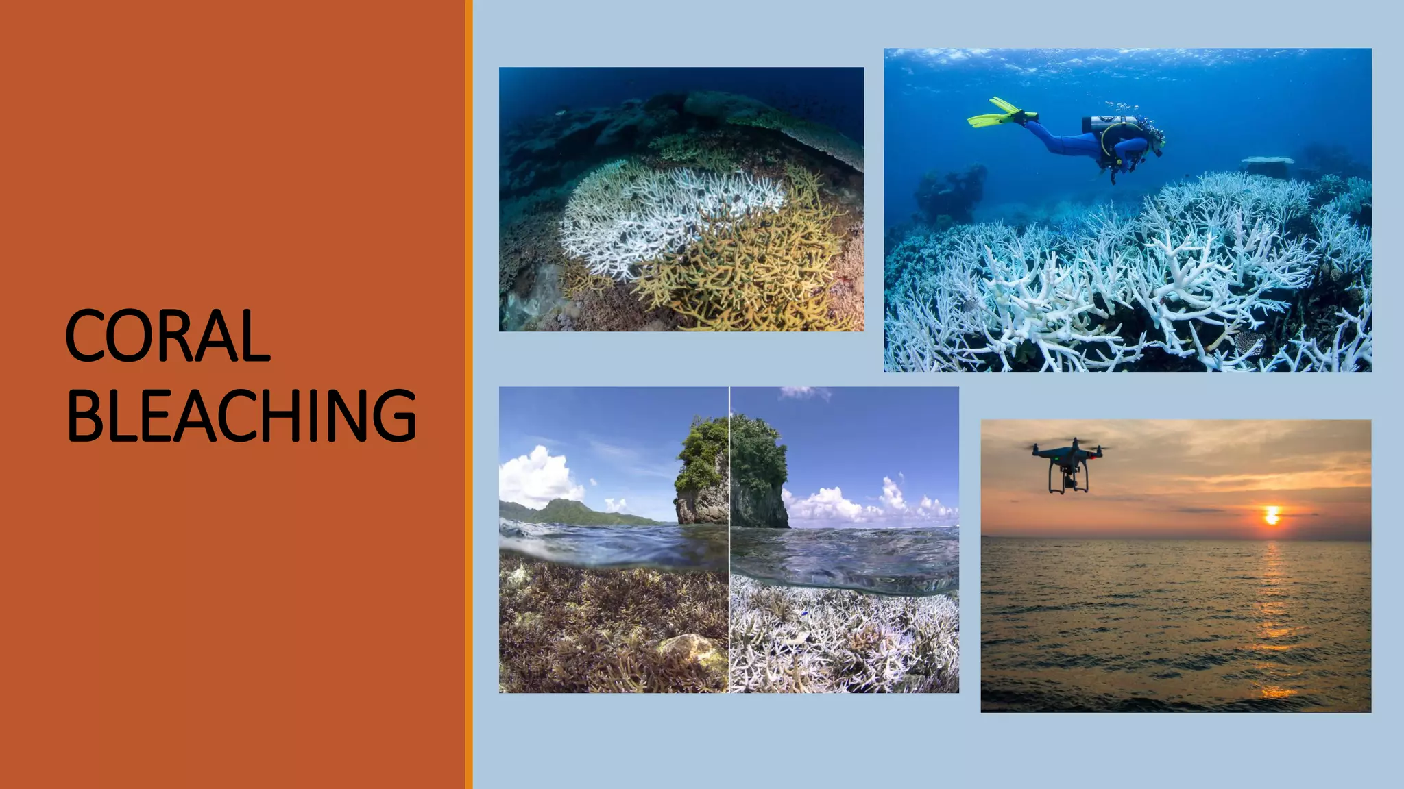 CORAL BLEACHING MONITORING USING RS AND AERIAL PHOTO.pdf