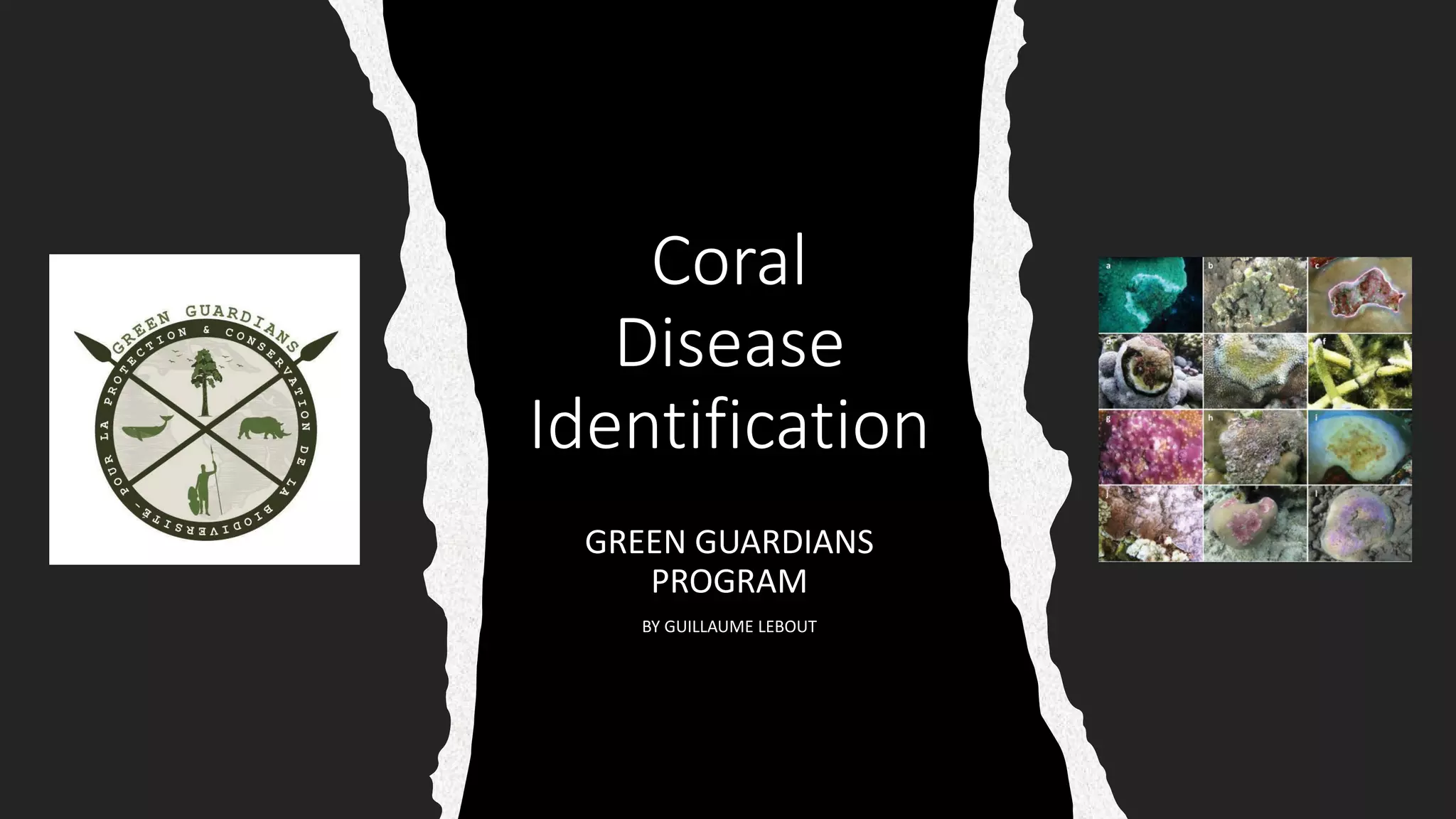 Coral Disease Identification course | PDF