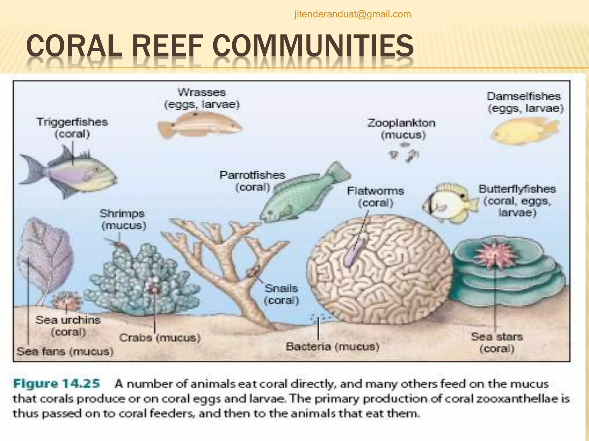 Coral ecology ppt | PPTX