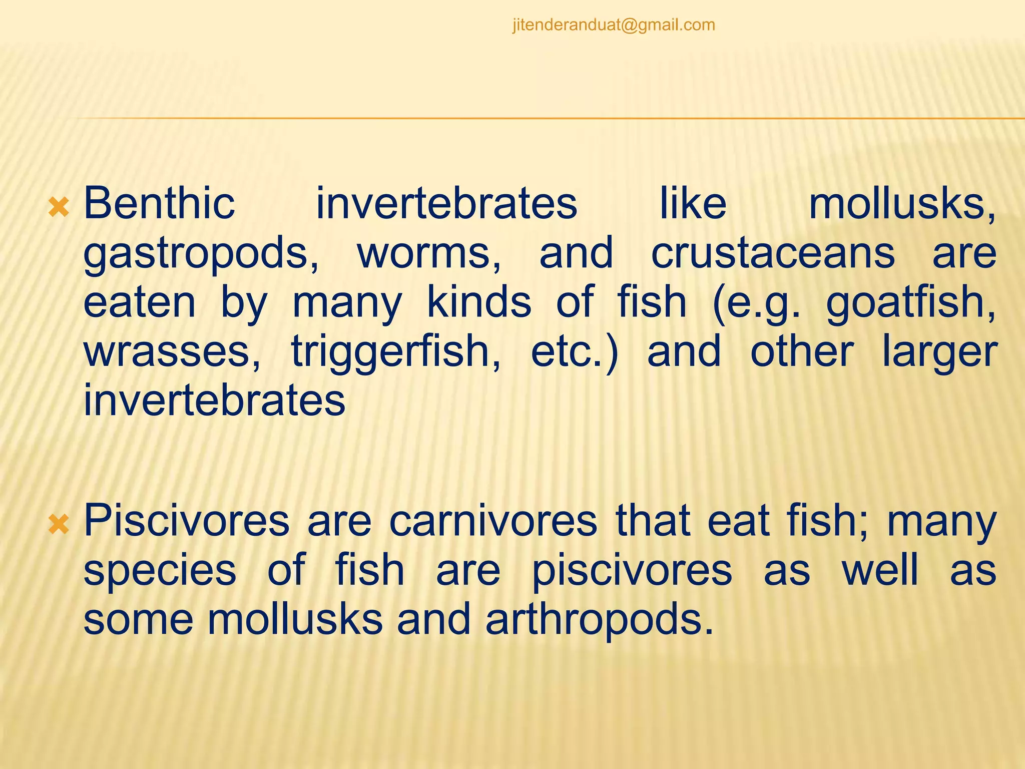 Coral ecology ppt | PPTX
