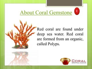 Coral gemstone shape, price and benefits ppt | PPTX