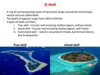 Coral reef ( IAS Exam, Geography Optional) | PPTX