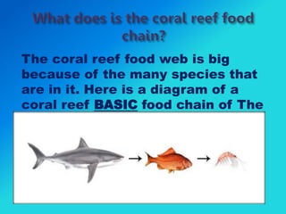 Coral reef | PPTX