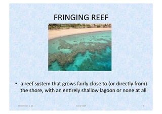 Coral Reef | PDF