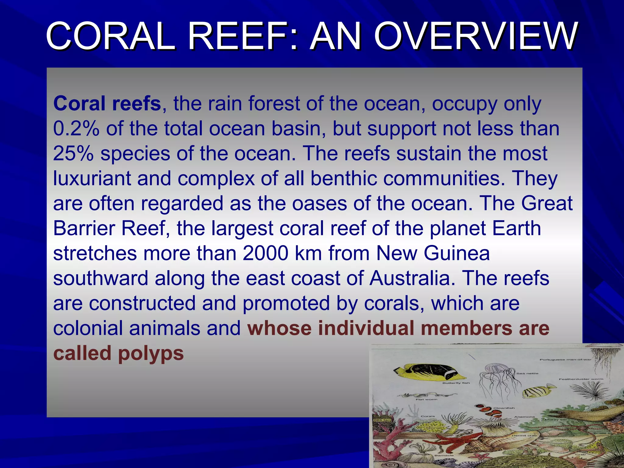 Coral reef | PPT