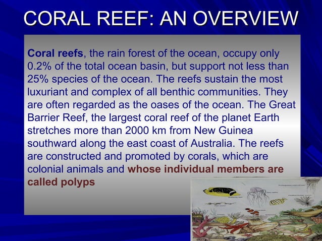 Coral reef | PPT