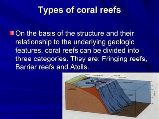 Coral reef | PPT