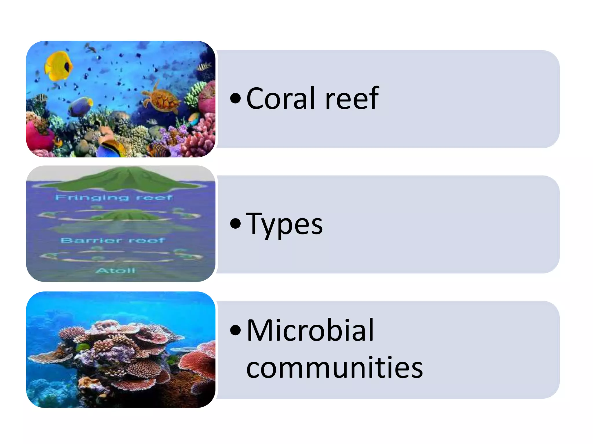Coral reef -microbial communities | PPTX