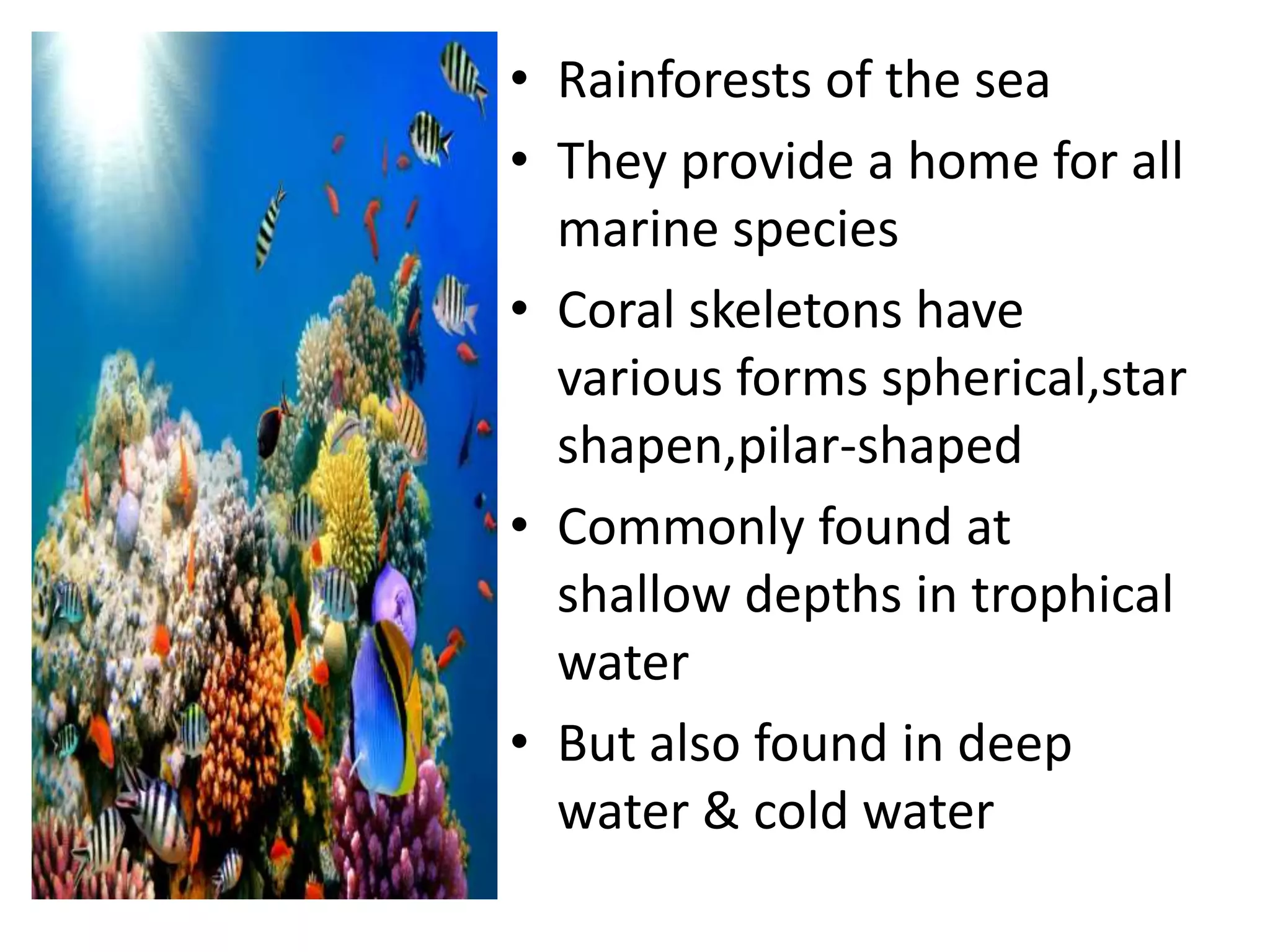 Coral reef -microbial communities | PPTX