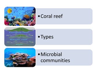 Coral reef -microbial communities | PPTX