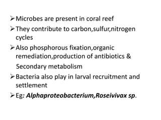 Coral reef -microbial communities | PPTX