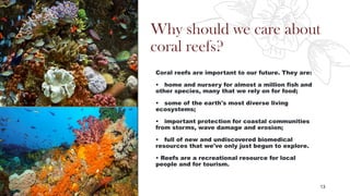 Coral reef (The reef builders, Varieties of coral).pptx