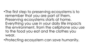 CORAL REEF and mangrove swamp ecosystem.pptx