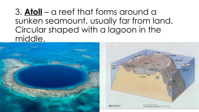 CORAL REEF and mangrove swamp ecosystem.pptx