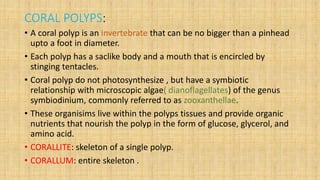 CORAL REEF BY papi.pptx