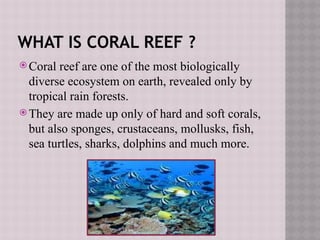 Coral reef ecosystems are intricate and diverse collections of species ...