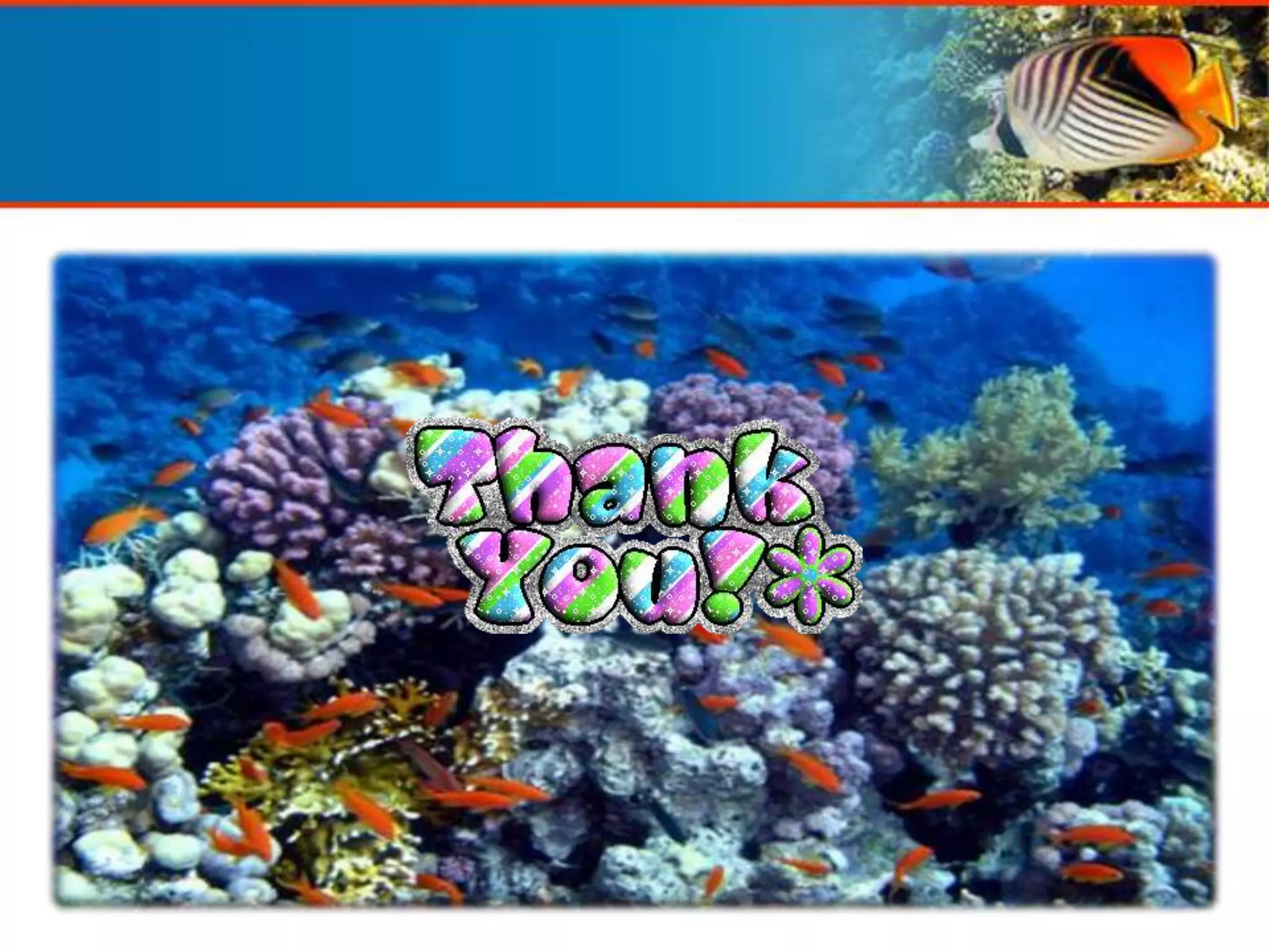 Coral reef ecosystems | PPTX