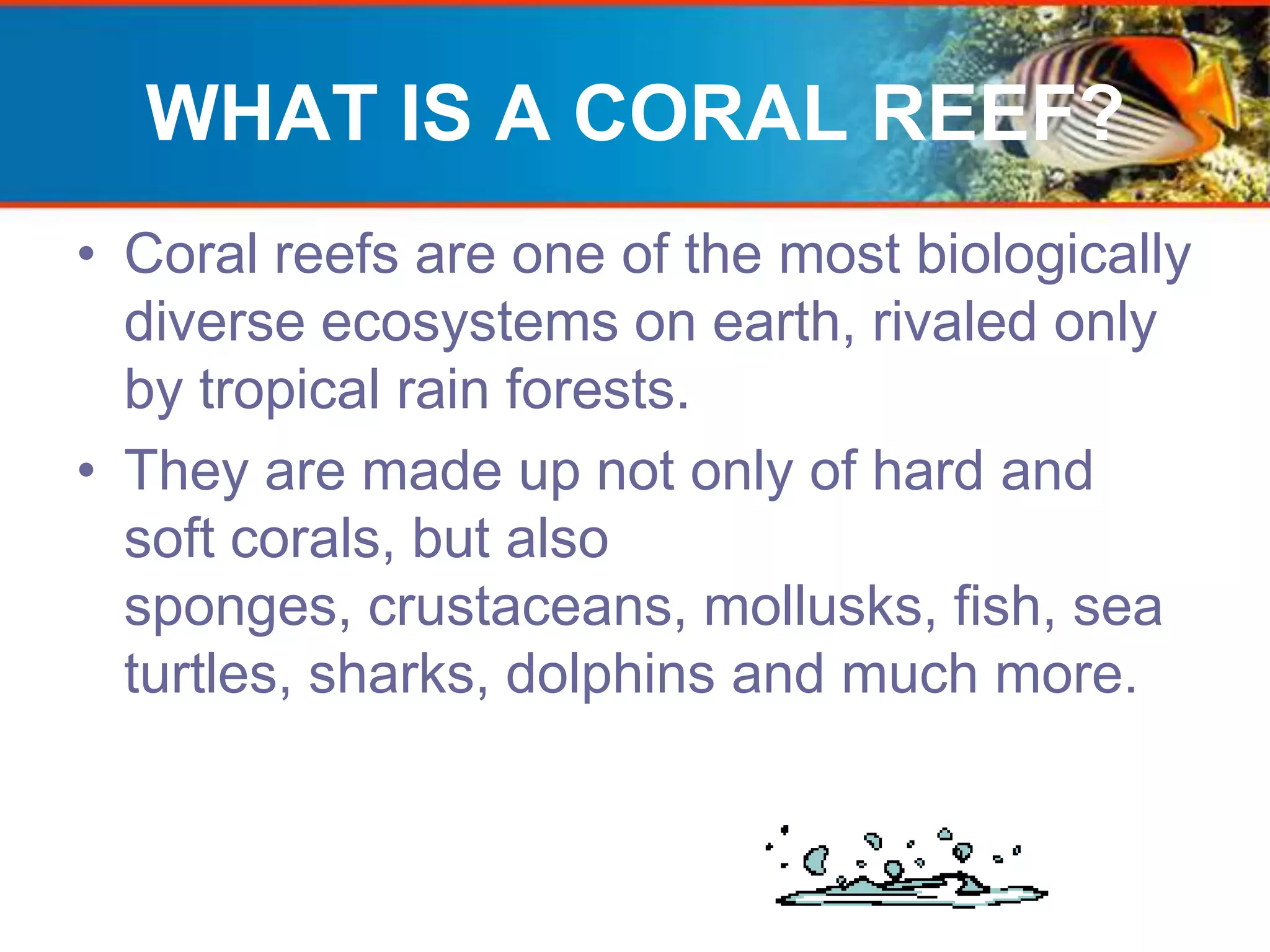Coral reef ecosystems | PPTX