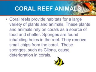 Coral reef ecosystems | PPTX