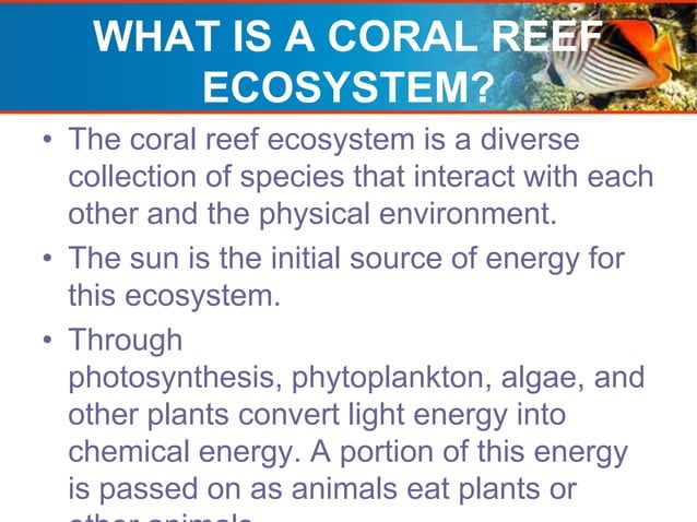 Coral reef ecosystems | PPTX | Zoos & Aquariums | Attractions