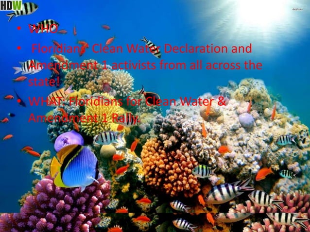 Coral reef ecosystems | PPTX